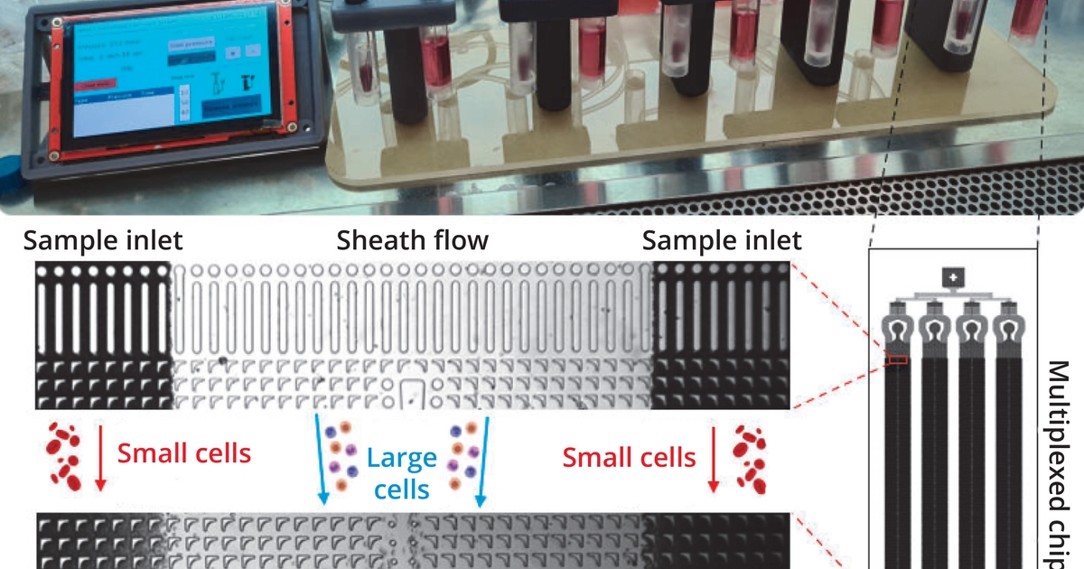 Microfluidic Cell Sorting