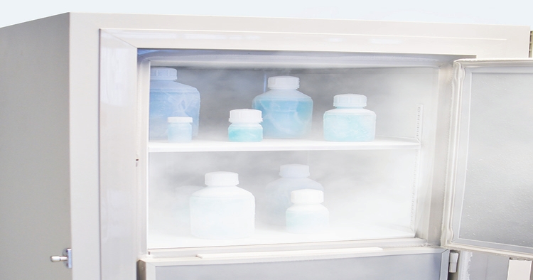 Fluoropolymers: Storing Bulk Drug Substance - BioProcess International