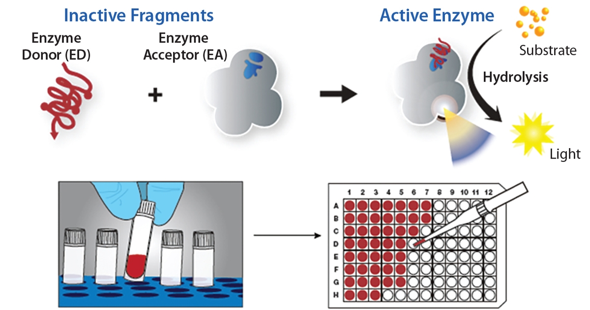 Accelerating Biologic and Biosimilar Drug Development: Ready-to-Use ...