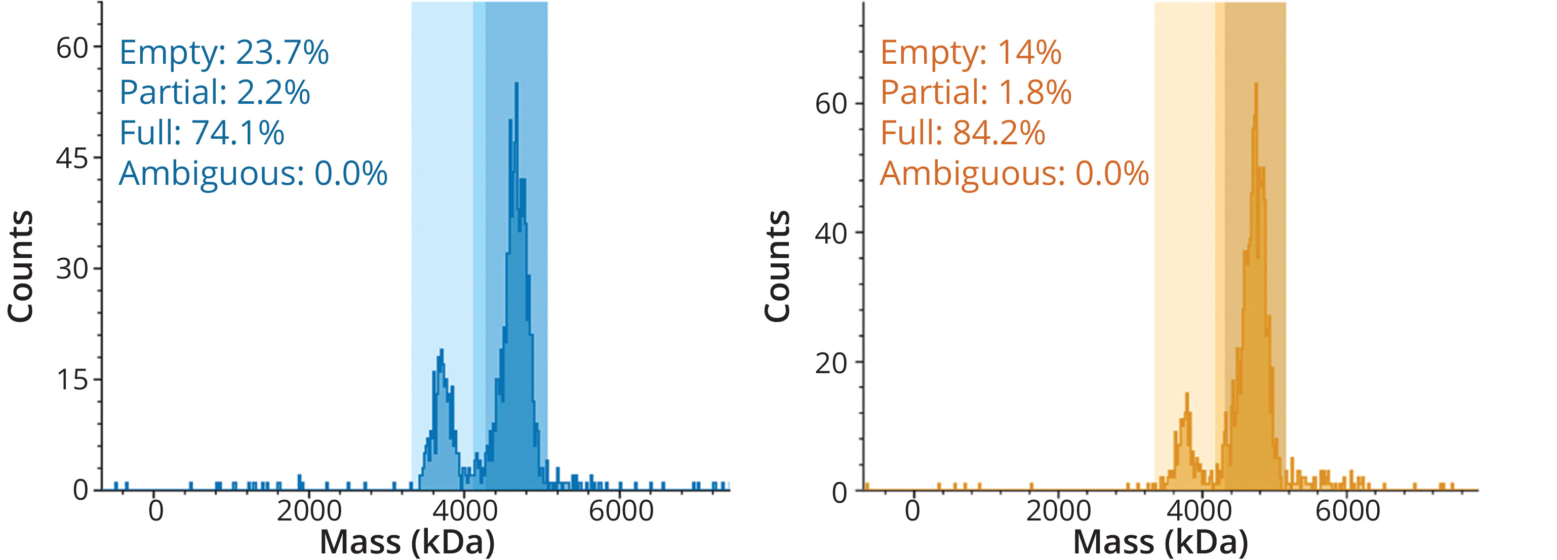 AAV Process Optimization Using Mass Photometry