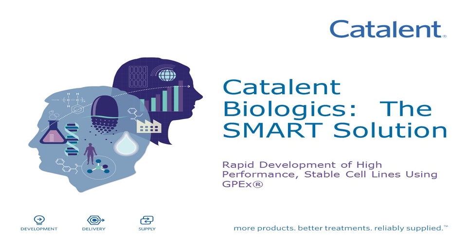 Rapid Development of High Performance, Stable Cell Lines Using GPEx (Video)