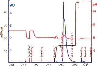 Production and Purification of a PER.C6-Expressed IgM Antibody Therapeutic