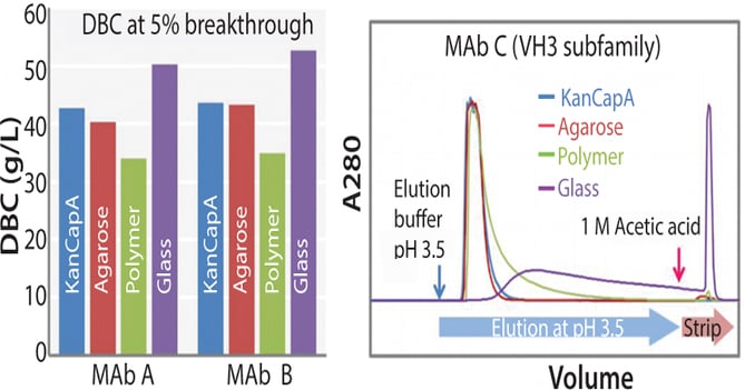 Purification of Monoclonal Antibodies Using Kaneka KanCapA