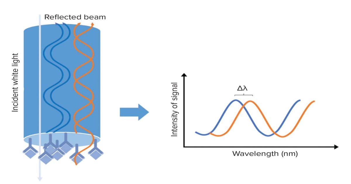 BLI Assay for Custom Yeast HCP Quantification - BioProcess International