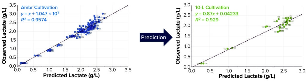 Raman Spectrometric PAT Models - BioProcess International