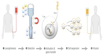 Automated PBMC Isolation and T Cell Wash and Concentration by the CTS ...