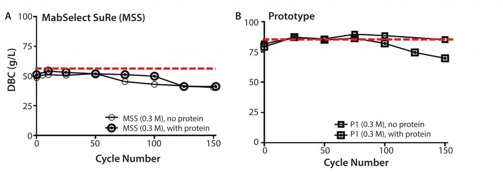 Evaluation of a Next-Generation Protein A Chromatography Resin for the ...