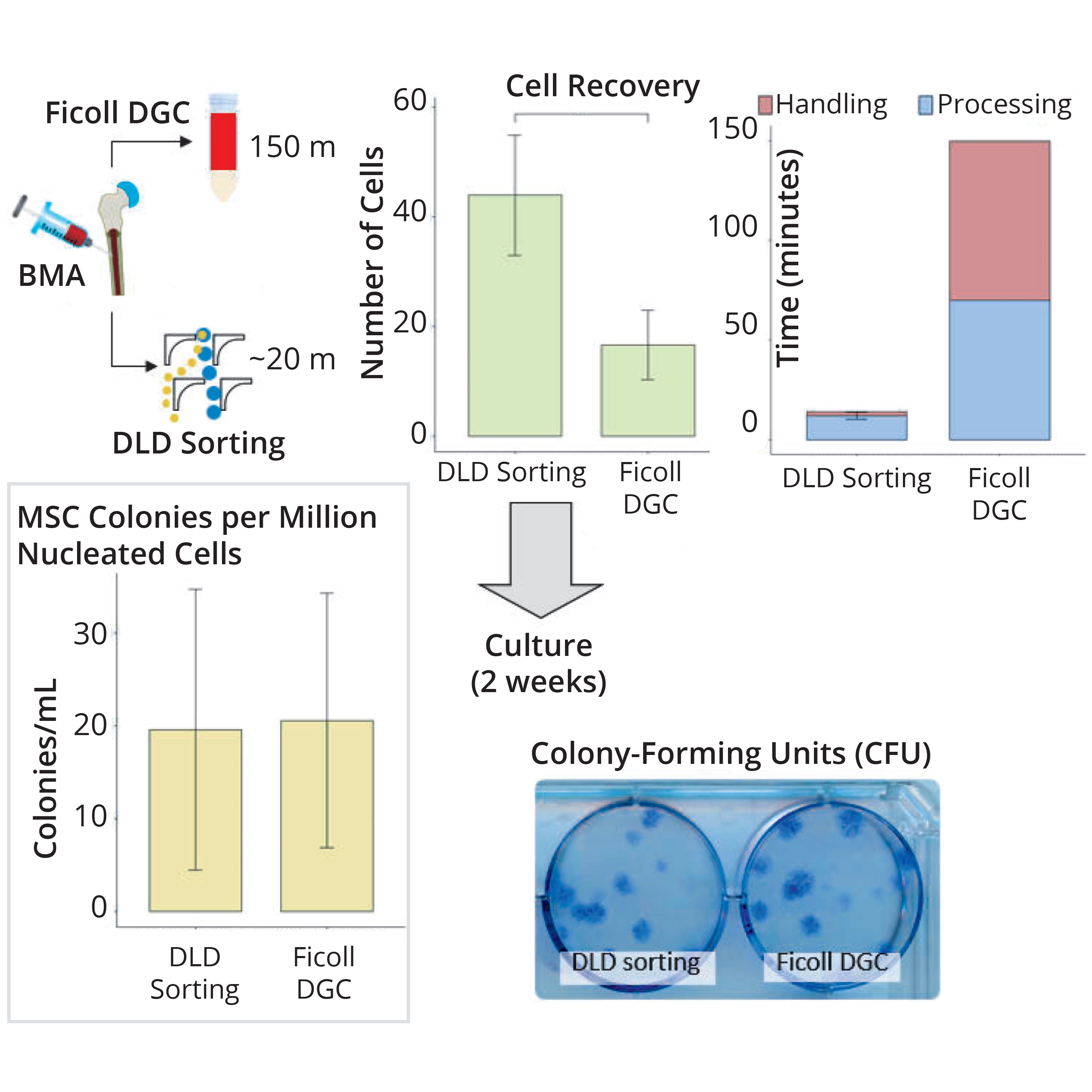 Microfluidic Cell Sorting