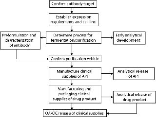 How Project Management Fits into the Drug Development Continuum