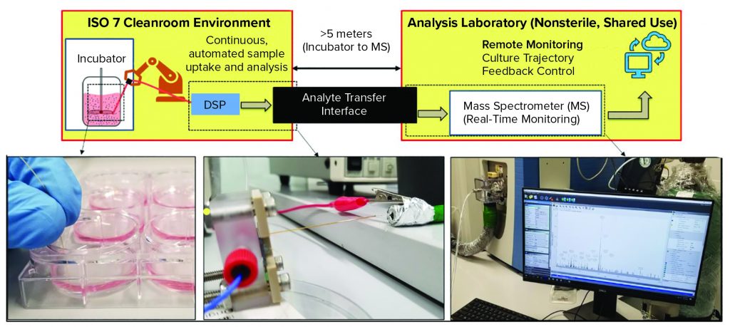 Biomarker Monitoring: Dynamic Sampling - BioProcess International