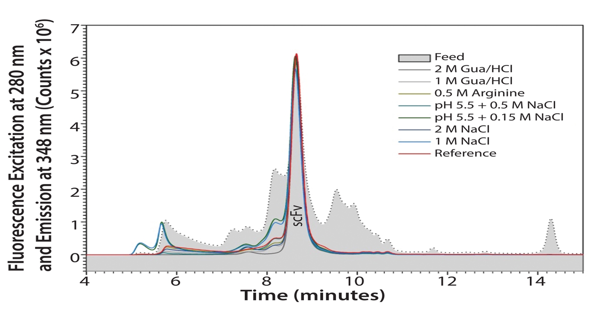 Capturing a scFv from E. coli Using Protein L Affinity Chromatography