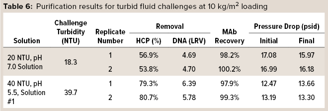3M Polisher ST Capsules Boost Viral Clearance - BioProcess International