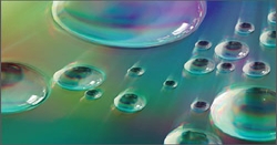 Mycoplasma In-Process and Lot Release Testing: To PCR or Not to PCR