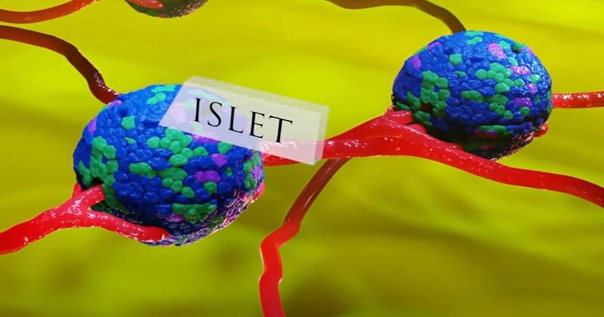 Vertex boosting diabetes cell therapy with ViaCyte buy - BioProcess Insider