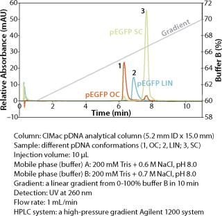 In-Process Control of pDNA Production on CIMac pDNA Analytical Column