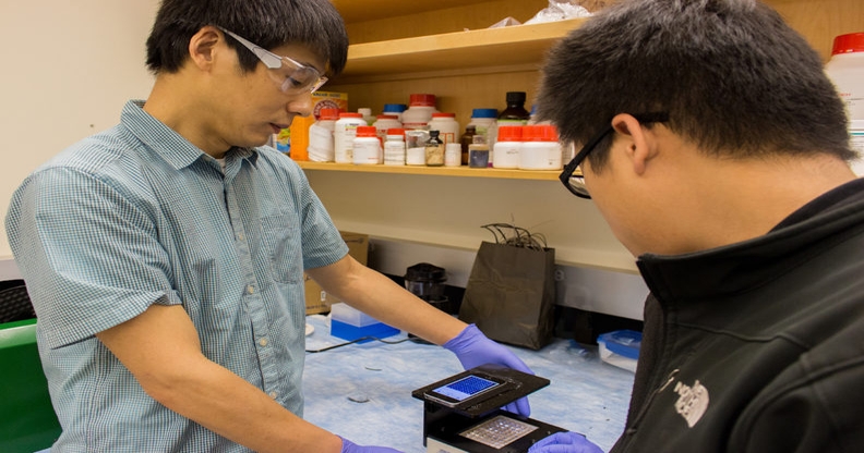 Smartphone Lab Performs Rapid Medical Testing