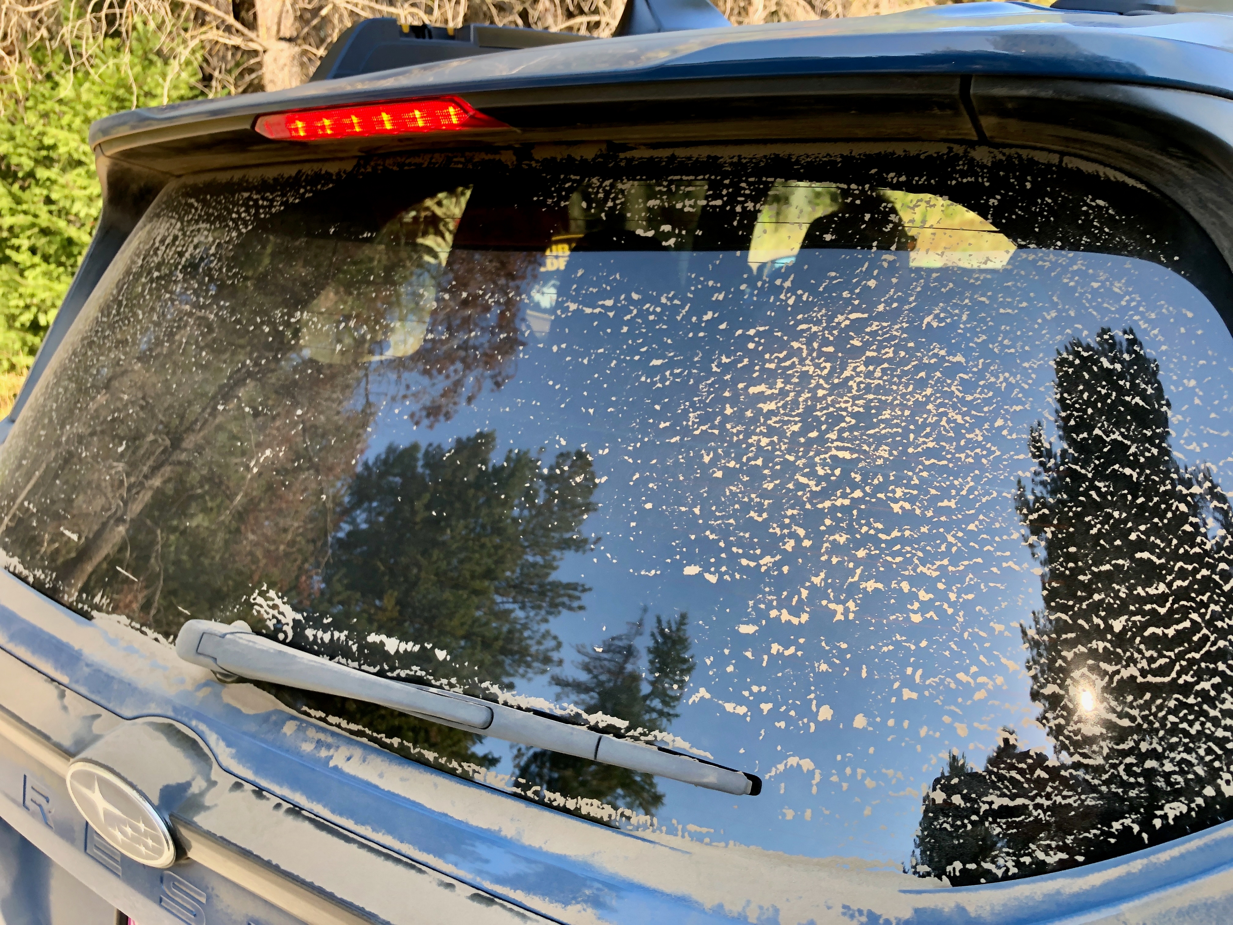 Subaru Launches 2026 Forester Wilderness SUV