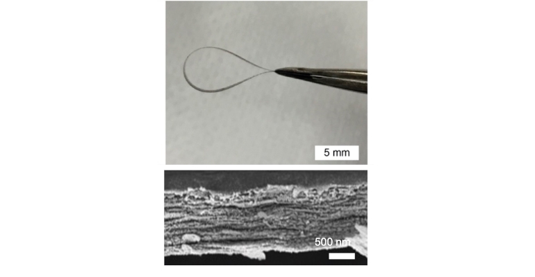 Bio-Inspired Composite Materials Are Both Stretchy and Tear-Resistant