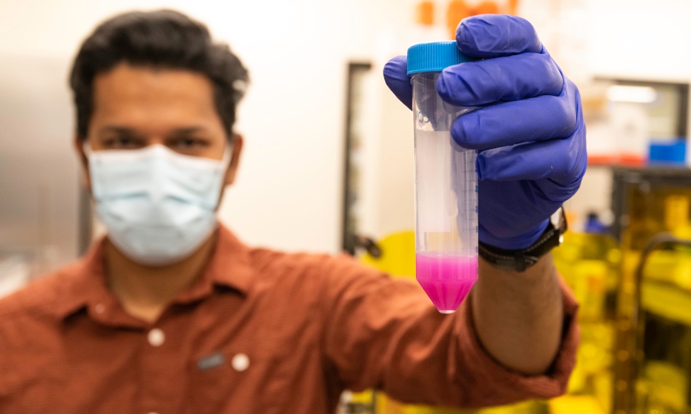 Synthetic Biofilms Act Like the Real Thing