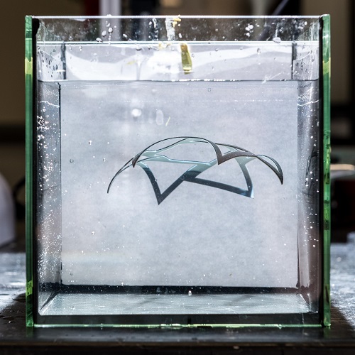 3D-Printing Method Creates Shape-Shifting Objects That Change Permanen