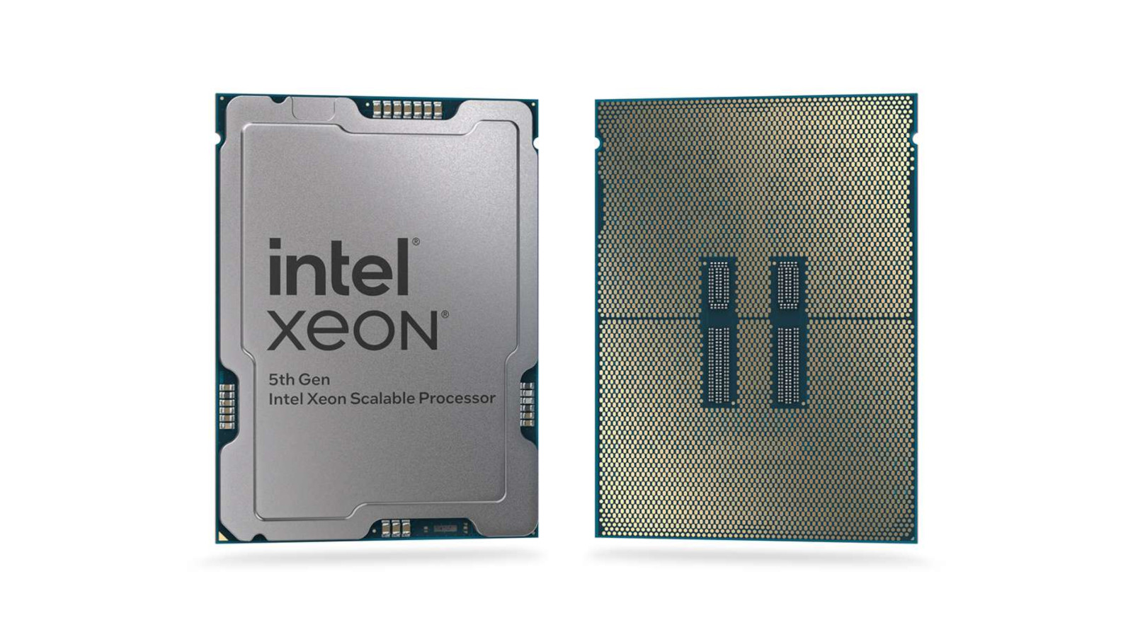 Intel, Nvidia Primed for Heavyweight Battle in AI