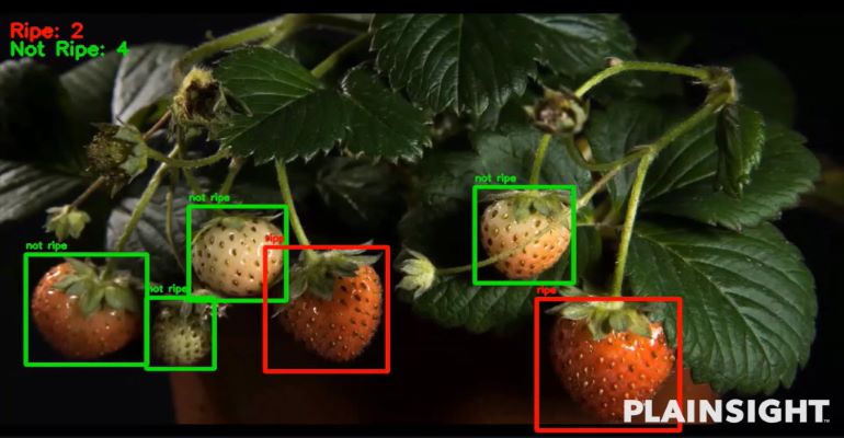 AI Vision Software Lends Smart Hand to Help Farmers Count Sheep