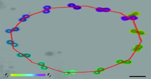 Fabrication Simplified for Medical Microrobots