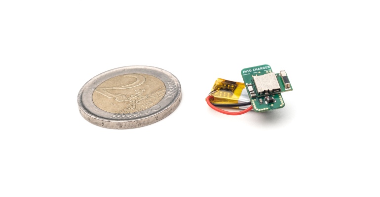 Venture Provides Animal-Tracking Tech for Internet of Small Animals