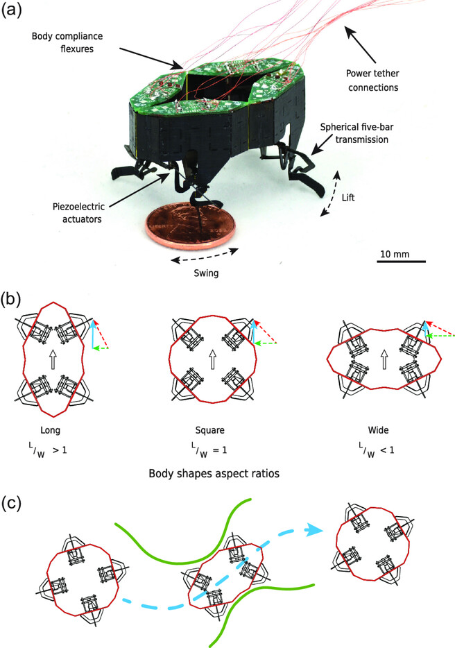 Tiny Robot CLARI Squeezes into Tight Places