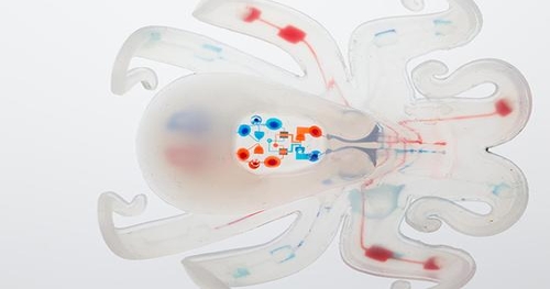 'Octobot' Is the First Autonomous Soft Robot