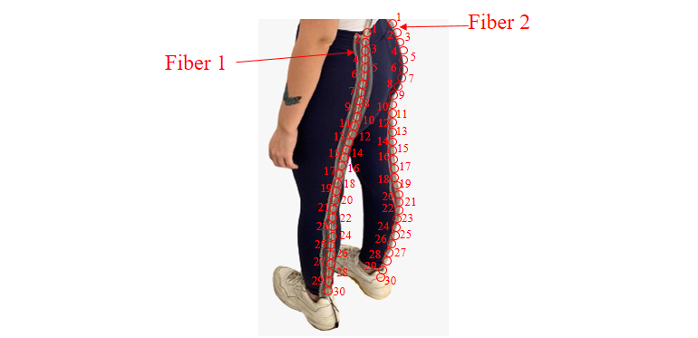 Smart Pants Use Fiber Optics to Monitor Movements