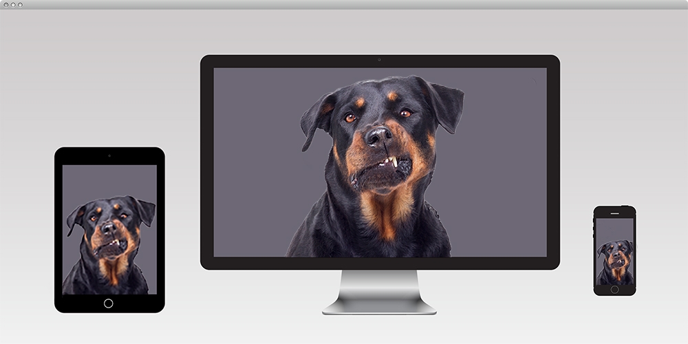 TBI Adds Wireless WatchDogs Mobility Management