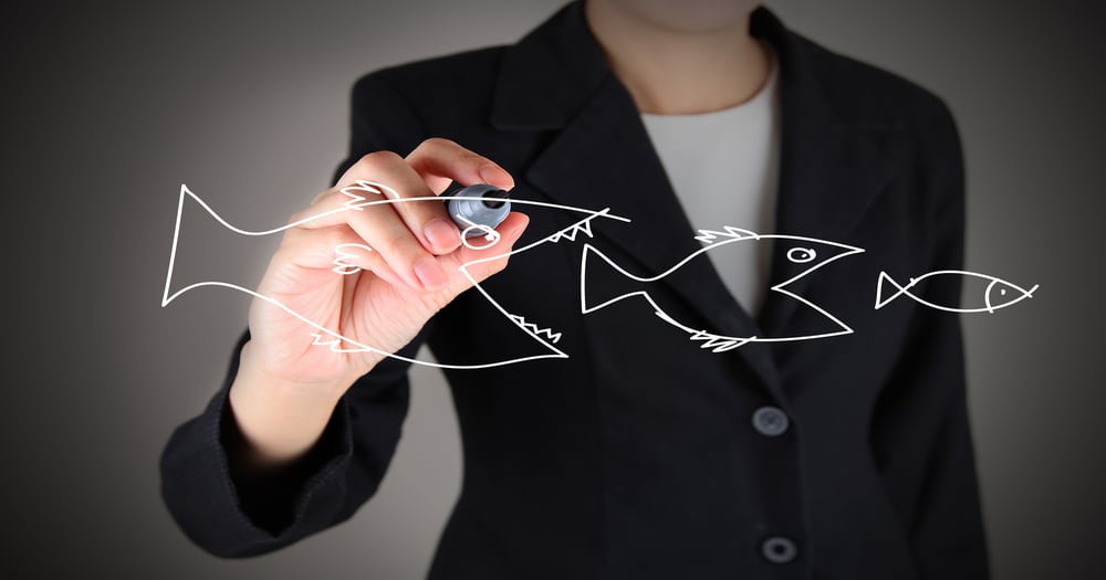 Cerberus Sentinel Acquisition Spree Benefits MSPs, MSSPs