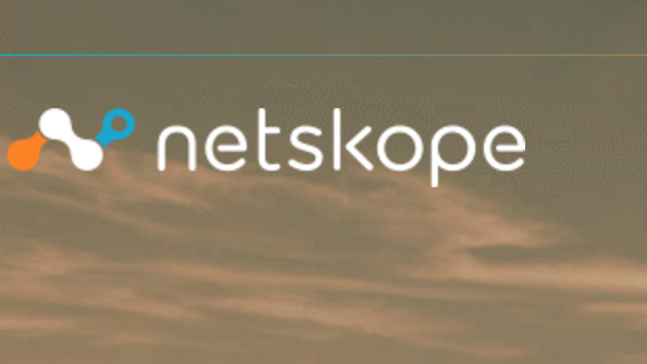 Netskope Wins $100 Million in New Funding for Cyber Security Play