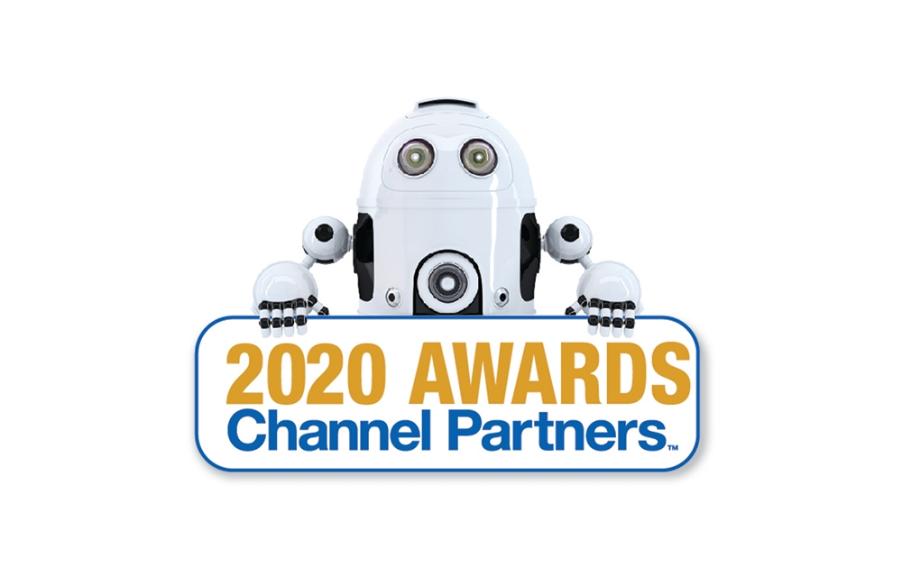 Meet the 2020 Excellence in Digital Service Award Winners