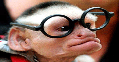 Five Ways to Prevent Customer Crankiness