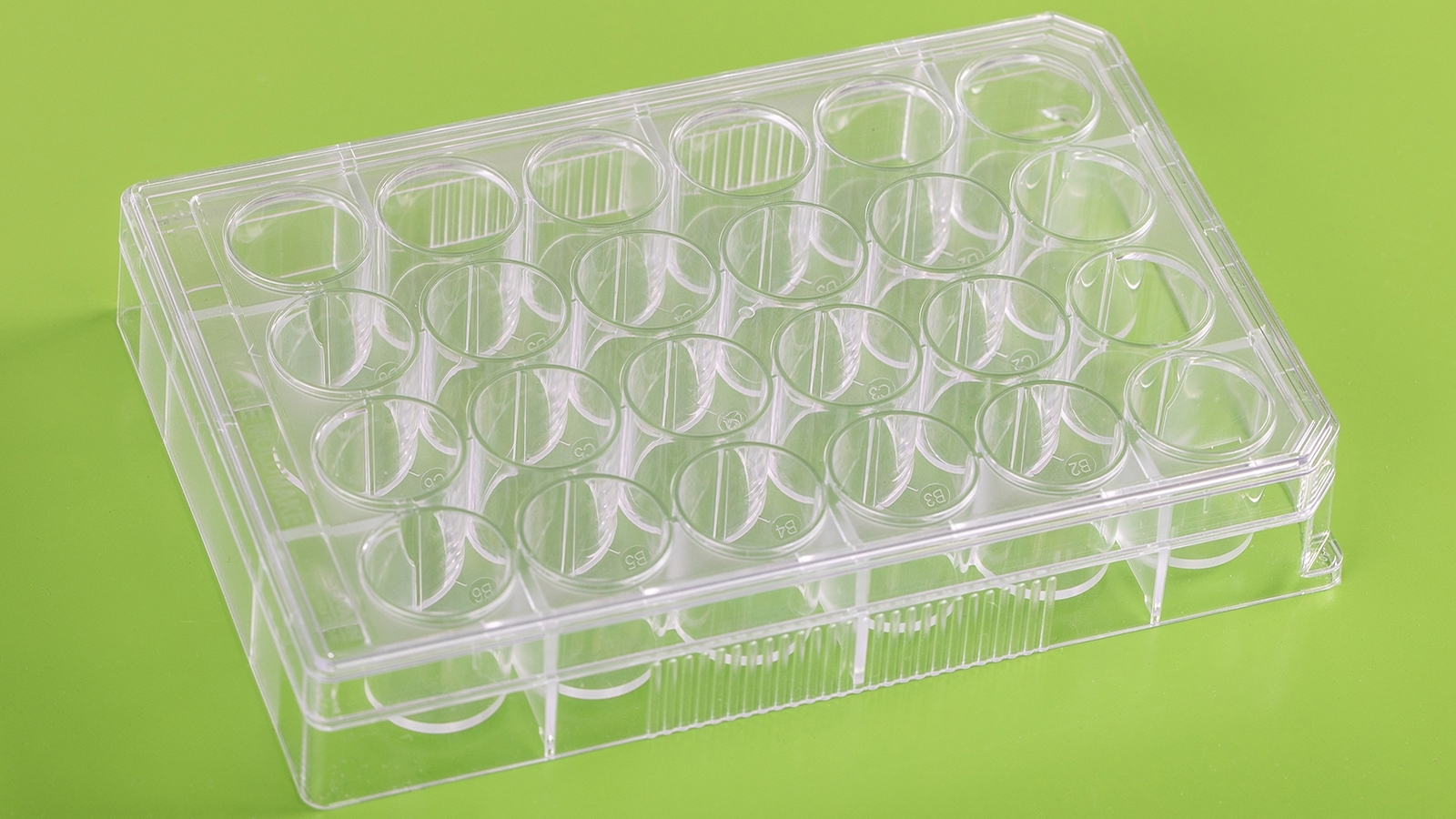 EtO Sterilization: Principles of Process Design