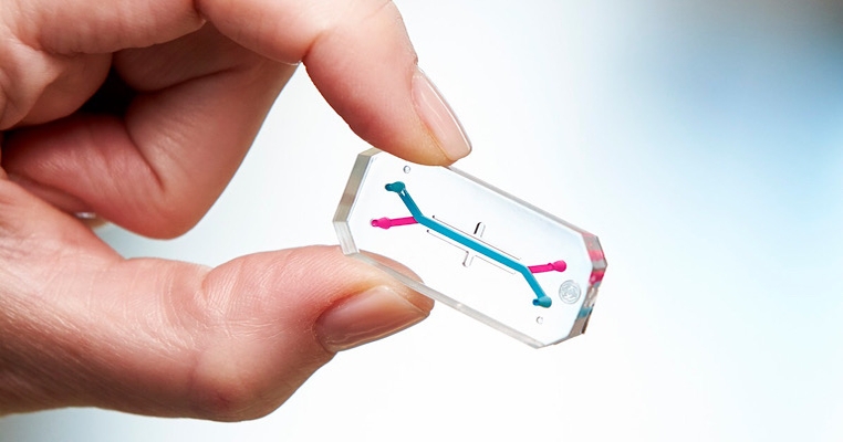 Organ-on-Chip Technology in the 2nd Inning, Still Has Room to Grow