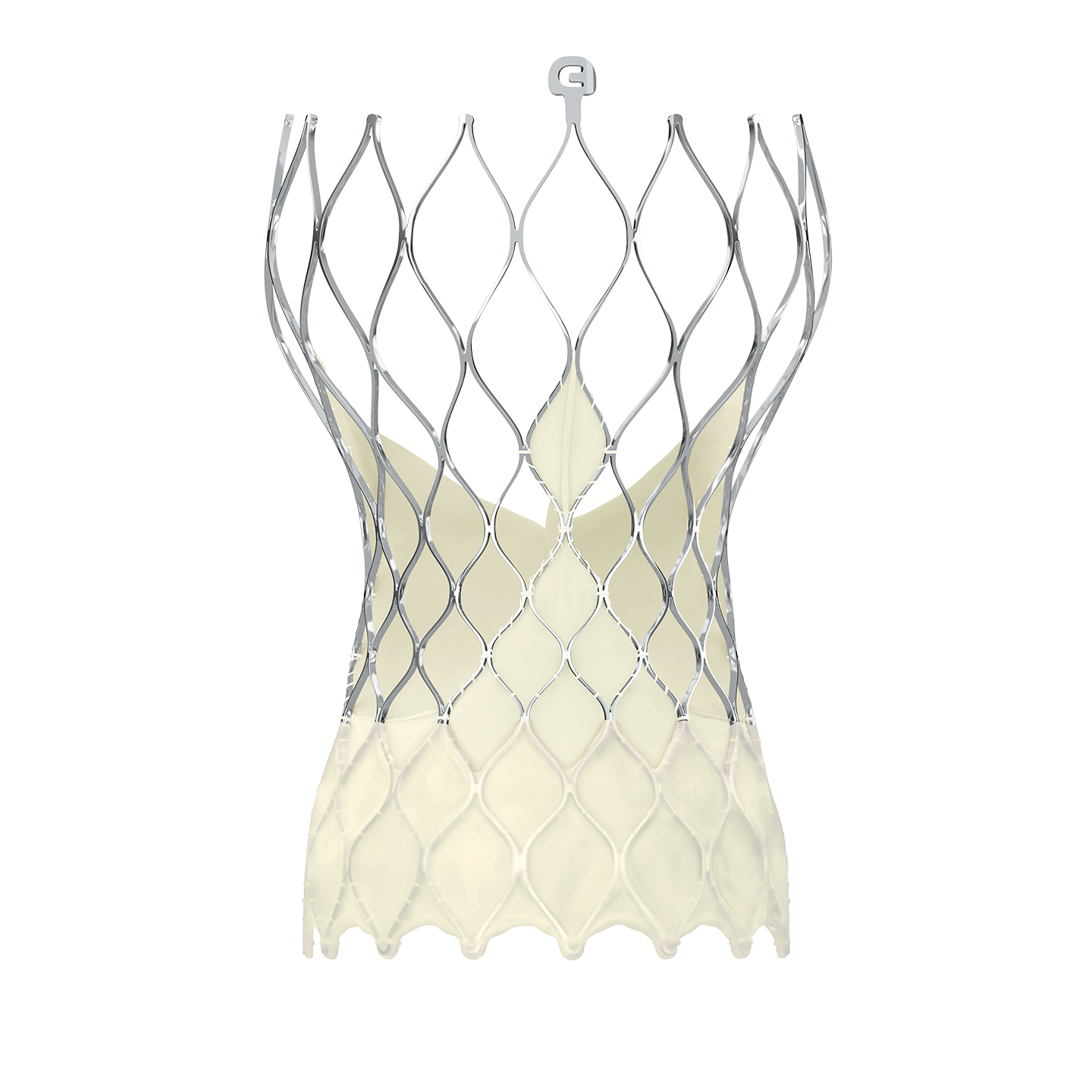 Medtronic and Edwards Duel in TAVR Space