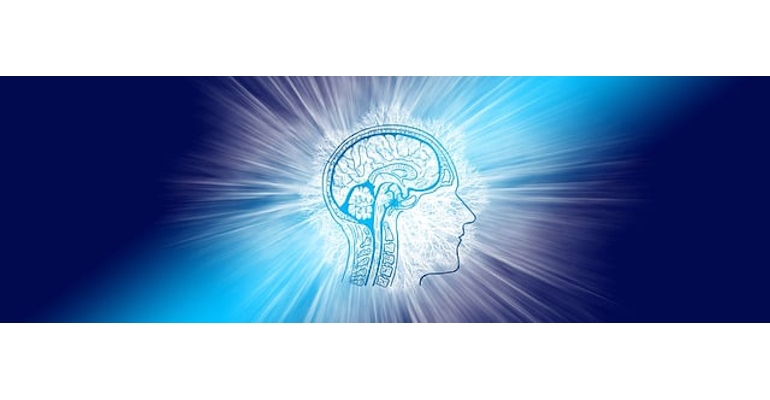 Bright Ideas in Neurological Devices