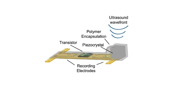 New Tiny Implantable Devices Are Powered by Ultrasound