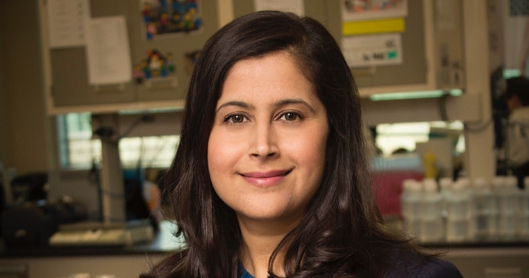 Updated Standards for Reusable Medical Devices