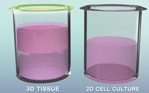 Organovo Aims to Remake Medical Landscape With 3-D Bioprinted Human Ti