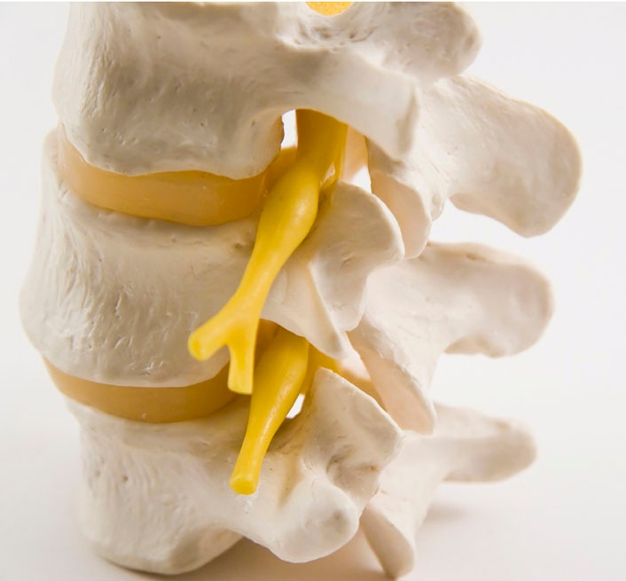 Testing Machine Ensures Reliability of Spinal Implant Systems