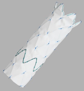 Cook Pulls Zenith Alpha Graft Due to Blood Clot Risk