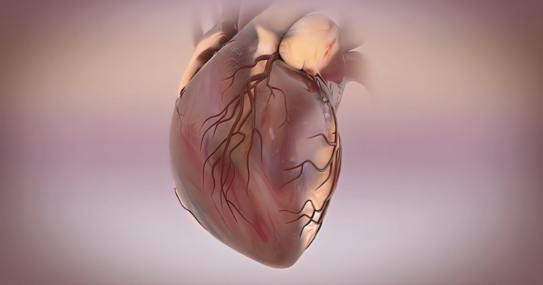 New Indications & Recalls Defined Cardio Devices' 2022