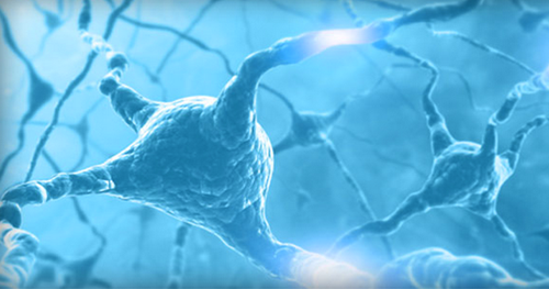 Molecular Diagnostic Firm DioGenix Raises $3.2M To Develop Genomics T