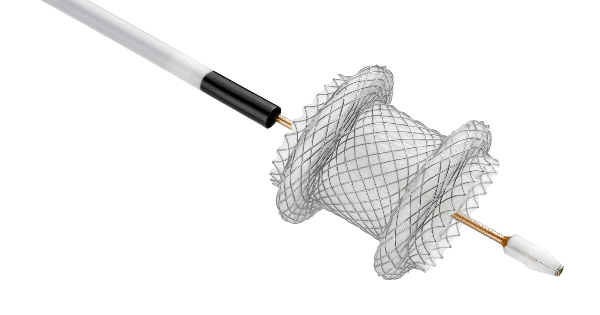 Boston Scientific Warns on AXIOS Stent Issues