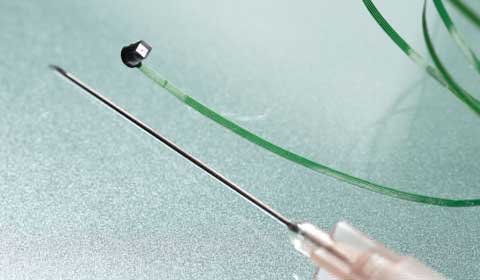 Researchers Develop Endoscope Cameras as Small as a Grain of Salt