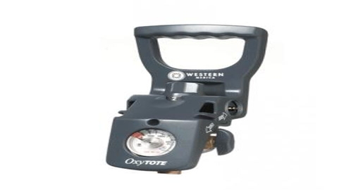 10 Medtech Recalls that Shocked the Industry—OxyTote